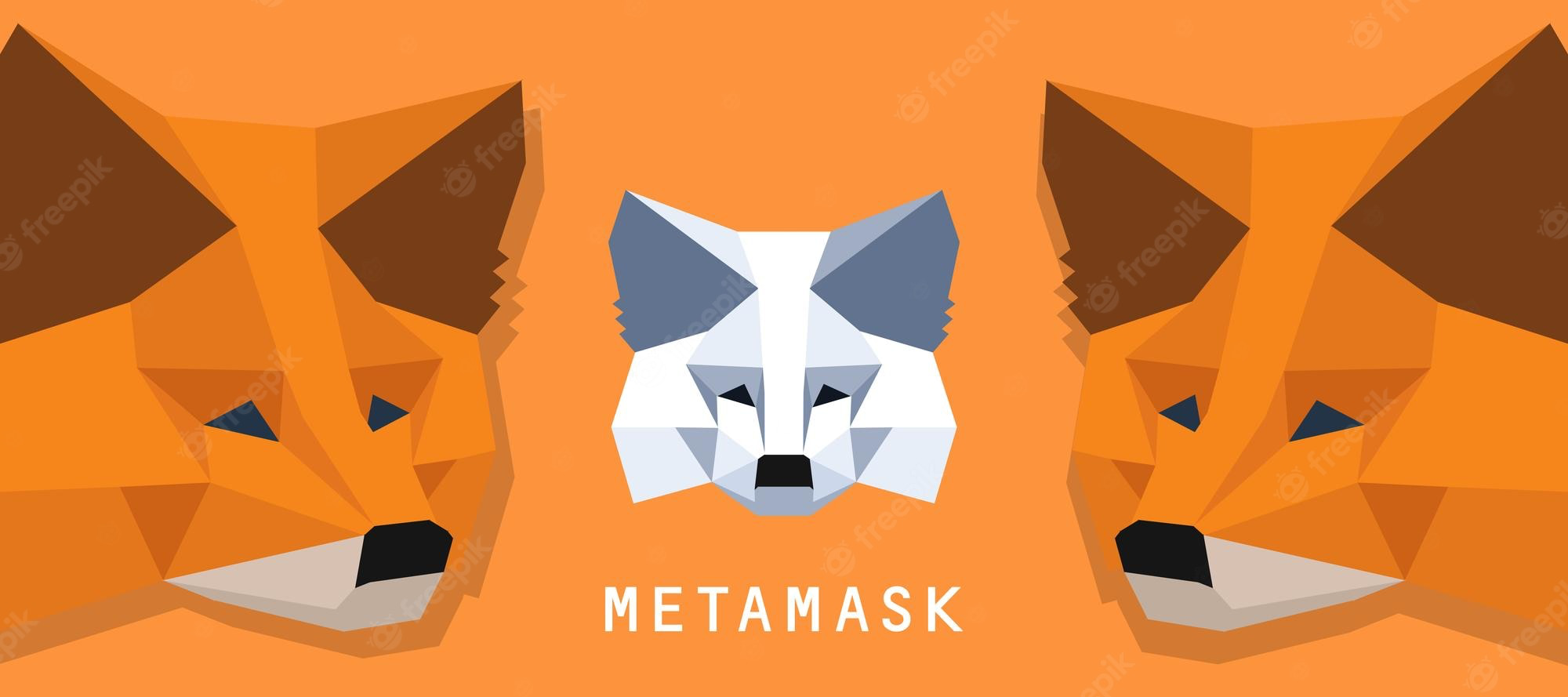 How To Setup A Metamask Wallet Step By Step Instructions